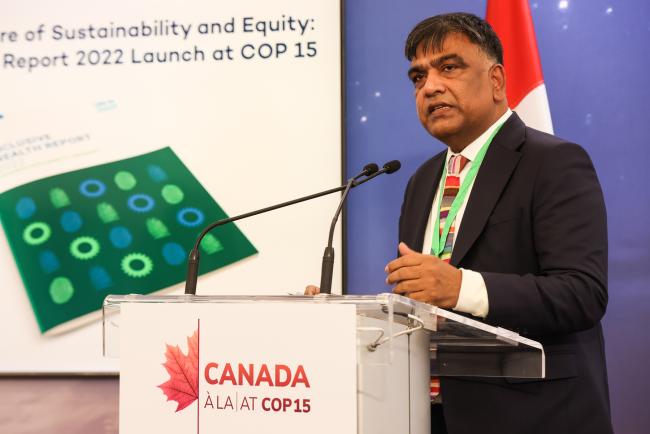 Inclusive Wealth As a Measure of Sustainability and Equity | IISD Earth ...